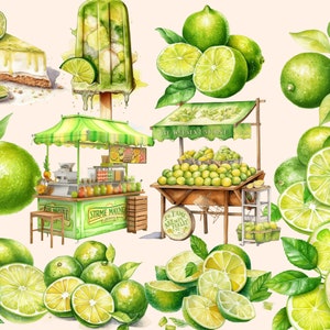 Key Lime Watercolor Clipart Bundle: 107 PNG Images (commercial Use ...