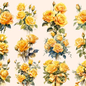 Yellow Roses Watercolor Clipart Bundle: 79 PNG Floral Images ...