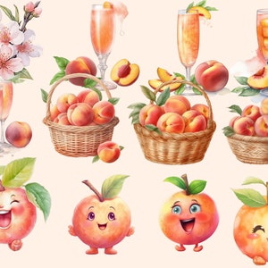 Peaches Watercolor Clipart Bundle - 73 PNG Images of Refreshing Summer ...