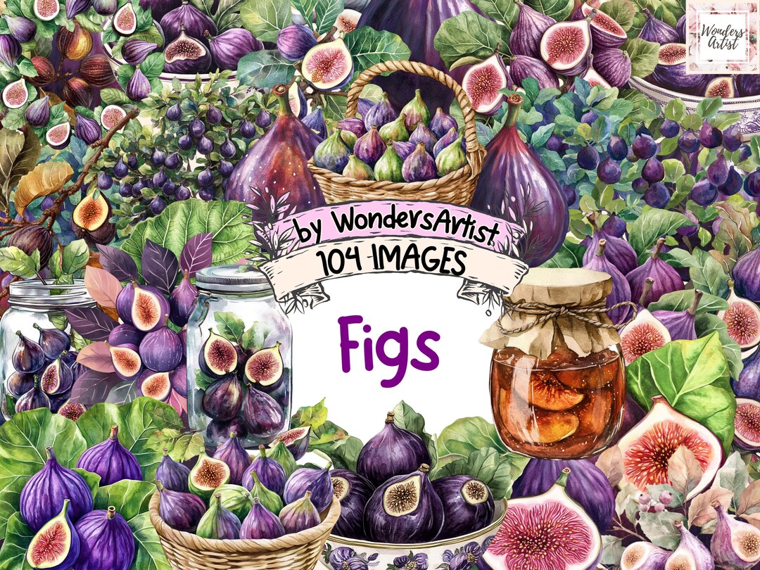 Figs Watercolor Clipart Bundle: 104 PNG Fruit Graphics (digital ...