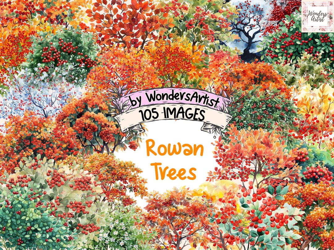 Watercolor Rowan Trees Clipart: Forest Illustrations (105 PNG Images ...