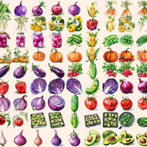 Vegetables Watercolor Clipart Bundle - 476 PNG Healthy Fresh Vegan ...