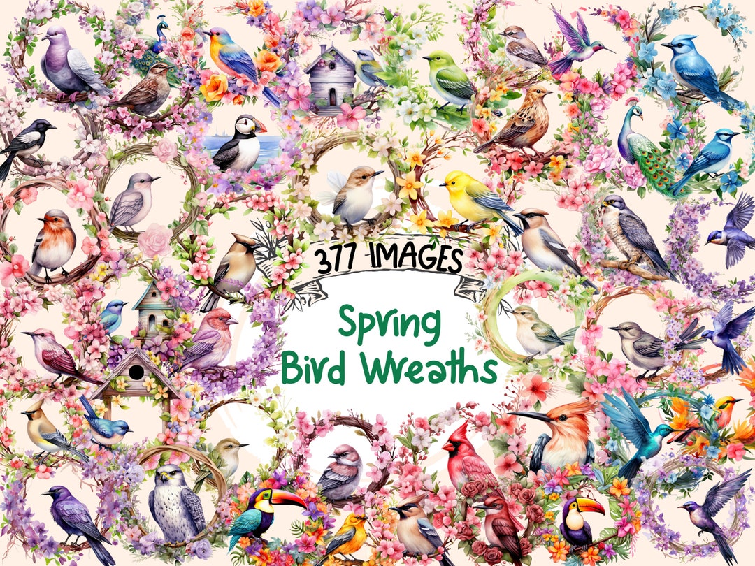 Spring Bird Wreaths Watercolor Clipart Bundle - 317 PNG Birds Wreath ...
