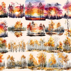 Watercolor Fall Birch Tree Clipart Bundle (123 PNG Images) - Commercial ...