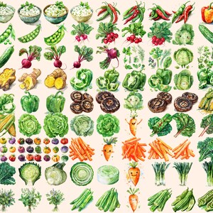 Vegetables Watercolor Clipart Bundle - 476 PNG Healthy Fresh Vegan ...