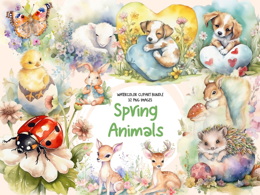 Watercolor Spring Animals Clipart - 32 Cute Baby Pets, Magical ...