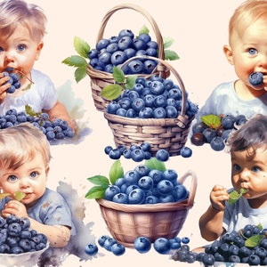 Blueberries Watercolor Clipart Bundle - 87 PNG Images of Refreshing ...