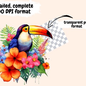 Tropical Flowers Watercolor Clipart Bundle - 123 PNG Flower Images ...