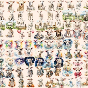 Lambs Watercolor Clipart Bundle - 255 PNG Sweet Cute Lamb Images ...