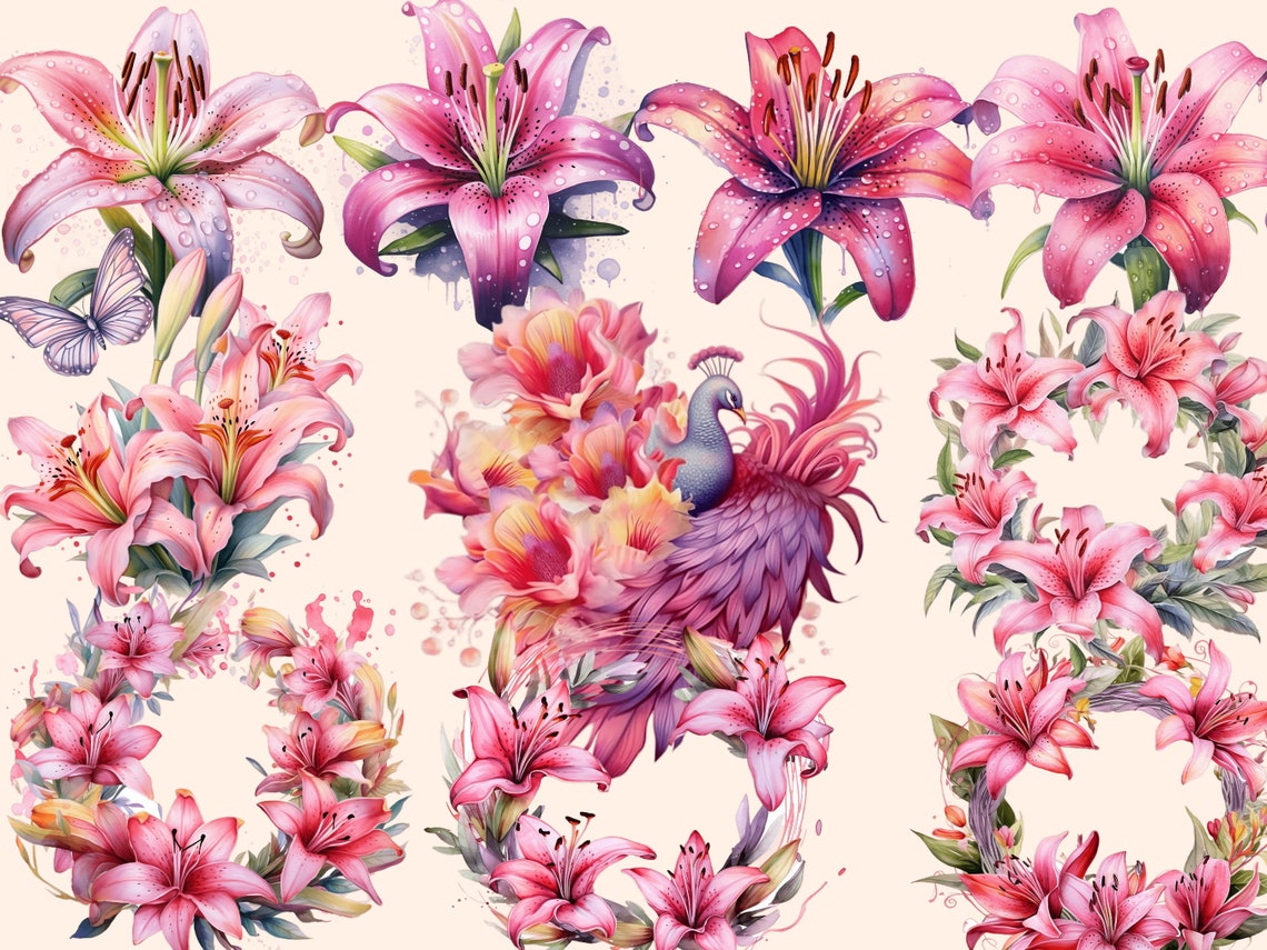 Pink Lilies Watercolor Clipart Bundle: 101 Floral PNG Images (digital ...