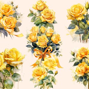 Yellow Roses Watercolor Clipart Bundle: 79 PNG Floral Images ...