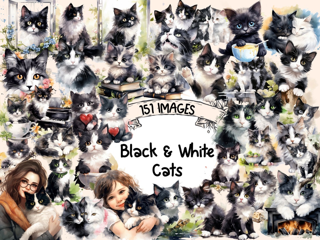 Black & White Cats Watercolor Clipart: 151 PNG Images (digital Download ...