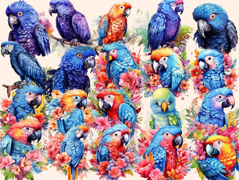 Watercolor Parrot Clipart: 108 Tropical Bird PNG Images (digital ...