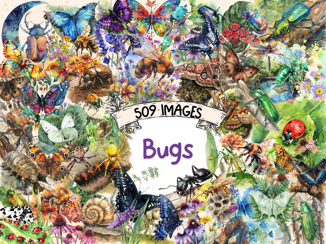 Watercolor Bugs Clipart Bundle: 509 Insect PNG Graphics (digital ...