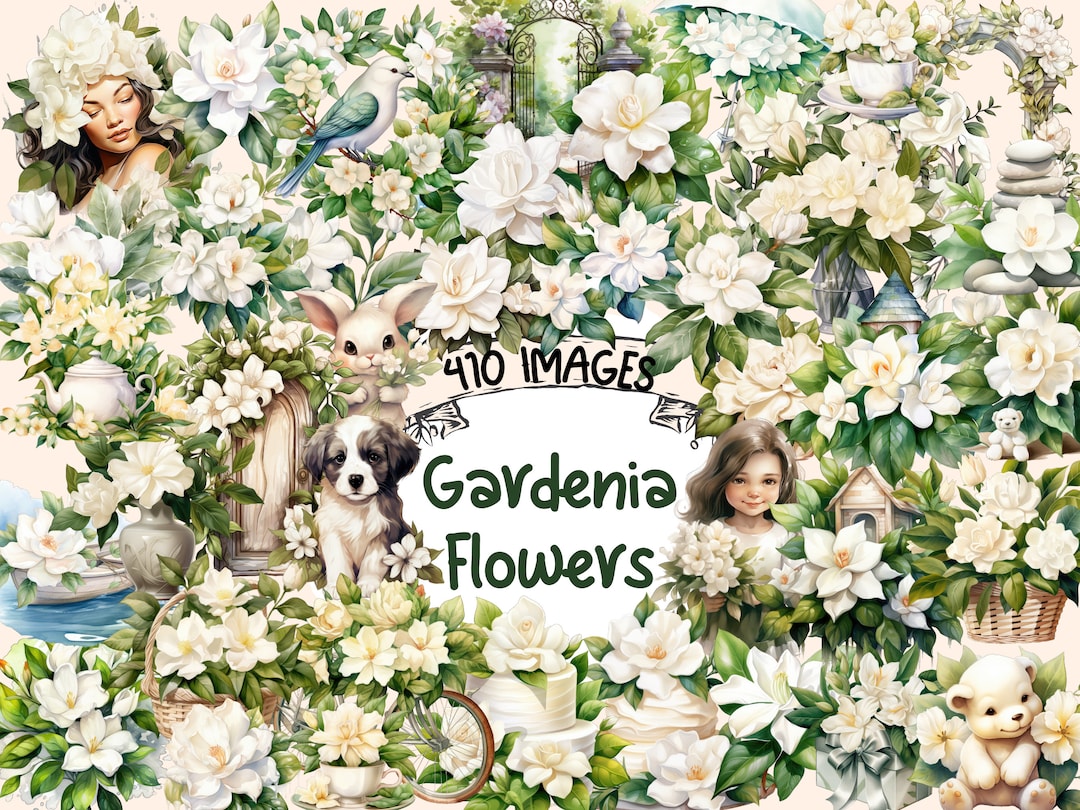 Watercolor Gardenia Flower Clipart Bundle: 410 PNG Images (digital ...