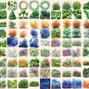 Bushes Watercolor Clipart Bundle - 501 PNG Greenery Shrubbery Images ...