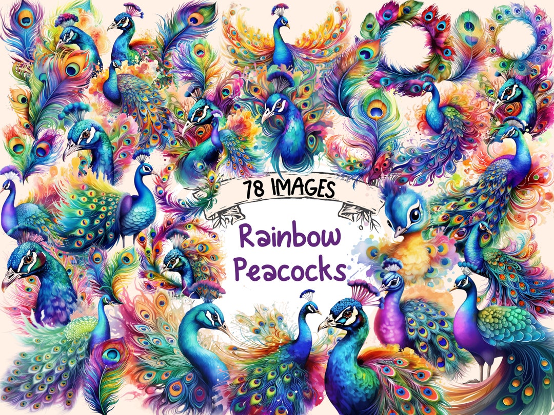 Rainbow Peacocks Watercolor Clipart Bundle - 78 PNG Beautiful Images, Colorful Vibrant Bird ...