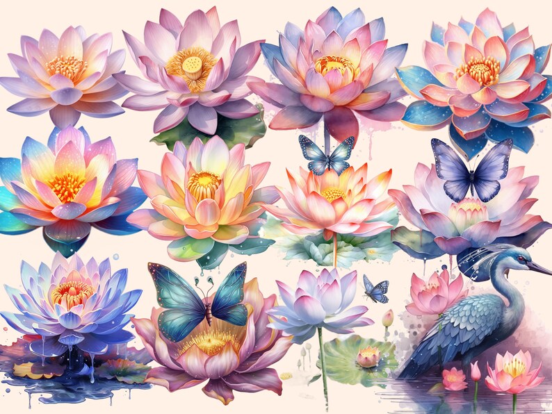 Lotus Flowers Watercolor Clipart Bundle 84 PNG Flower - Etsy