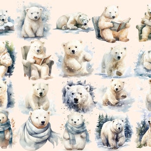 White Bears Watercolor Clipart Bundle 114 PNG Polar Bear Images, Arctic ...