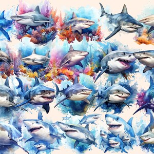 Sharks Watercolor Clipart Bundle - 151 PNG Shark Images, Oceanic ...