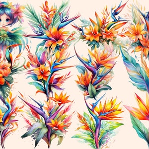 Bird of Paradise Watercolor Clipart Bundle - 60 PNG Tropical Floral ...