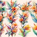 Bird of Paradise Watercolor Clipart Bundle 60 PNG Tropical Floral ...
