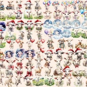 Lambs Watercolor Clipart Bundle - 255 PNG Sweet Cute Lamb Images ...
