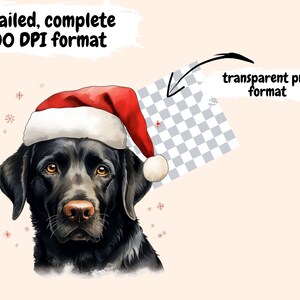 Black Lab Dogs Watercolor Clipart Bundle - 146 PNG Black Labrador ...