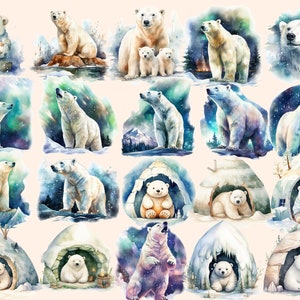 White Bears Watercolor Clipart Bundle 114 PNG Polar Bear Images, Arctic ...
