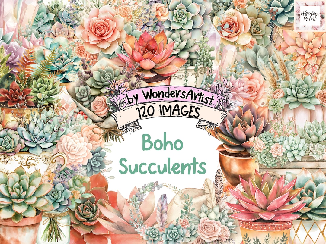 Boho Succulents Watercolor Clipart Bundle - 120 PNG Succulent Images ...