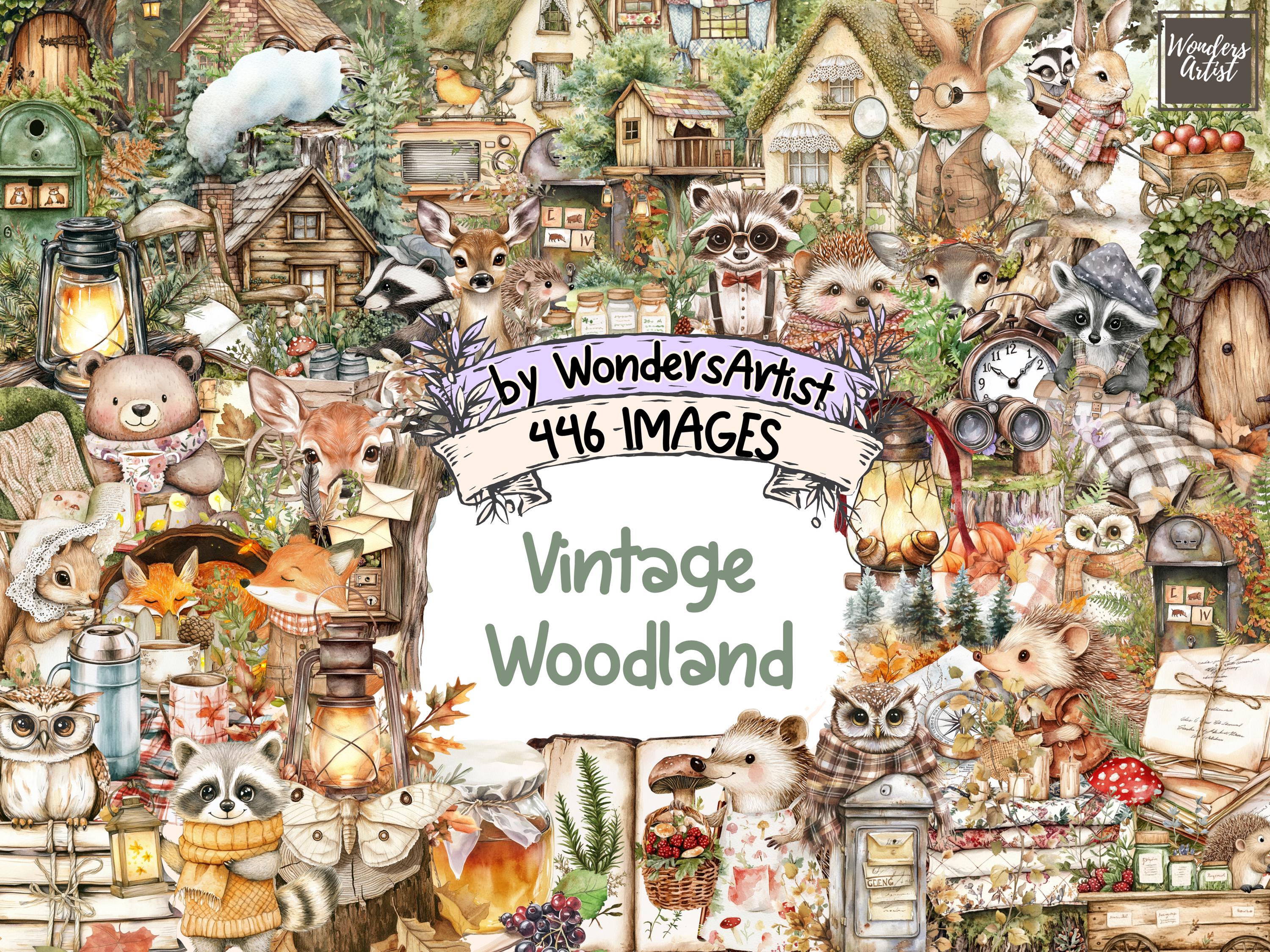 Vintage Woodland Clipart: Rustic Forest Animals, PNG Illustrations ...