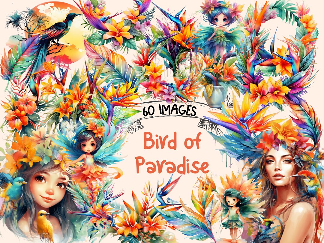 Bird of Paradise Watercolor Clipart Bundle: 60 Tropical PNG Images ...