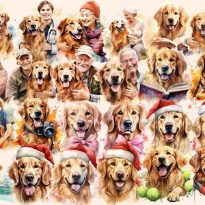 Golden Retriever Watercolor Clipart Bundle: 213 Puppy PNG Images ...