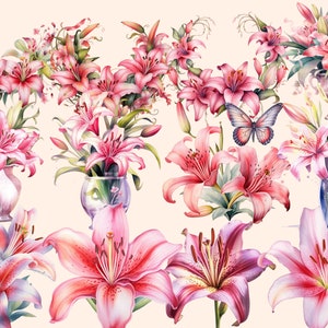 Pink Lilies Watercolor Clipart Bundle - 101 PNG Lily Flower Images ...