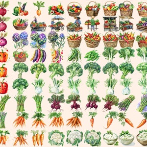 Vegetables Watercolor Clipart Bundle - 476 PNG Healthy Fresh Vegan ...