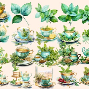Mint Tea Watercolor Clipart Bundle - 169 PNG Cute Vintage Teacup Images ...