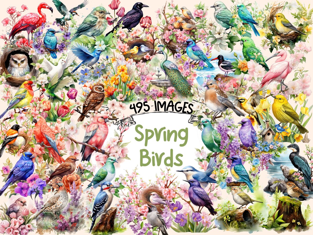 Spring Birds Watercolor Clipart Bundle - 495 PNG Springtime Bird Images ...