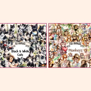 Animals Mega Clipart Bundle (P5) - 3500+ PNG Cute Animal Images ...