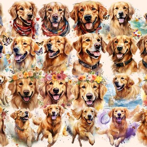 Golden Retriever Watercolor Clipart Bundle: 213 Puppy PNG Images ...