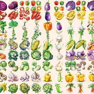 Vegetables Watercolor Clipart Bundle - 476 PNG Healthy Fresh Vegan ...