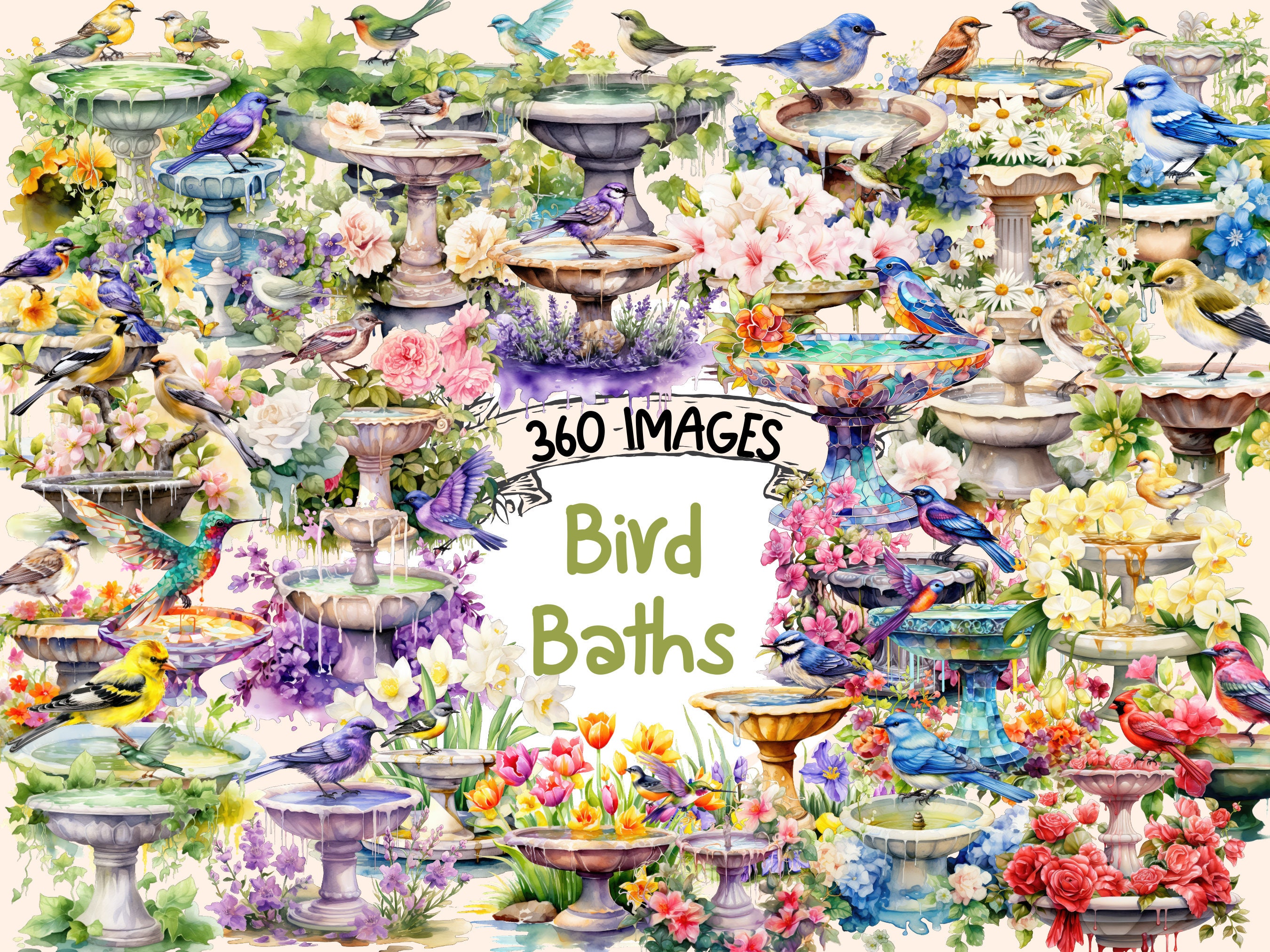 Watercolor Bird Baths Clipart: Floral Garden PNG Bundle (digital ...