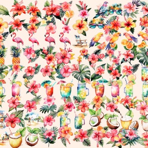 Tropical Summer Watercolor Clipart Bundle: 658 PNG Images (digital ...