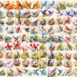 Spring Birds Watercolor Clipart Bundle - 495 PNG Springtime Bird Images ...
