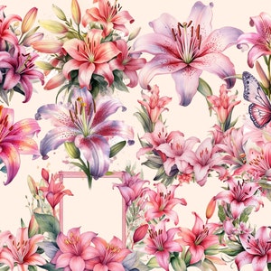Pink Lilies Watercolor Clipart Bundle - 101 PNG Lily Flower Images ...