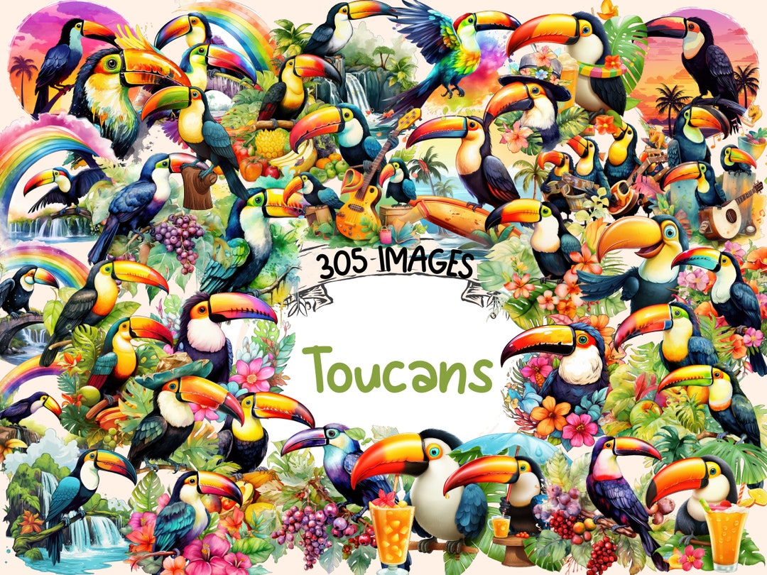 Toucans Watercolor Clipart Bundle - 305 PNG Exotic Toucan Images ...