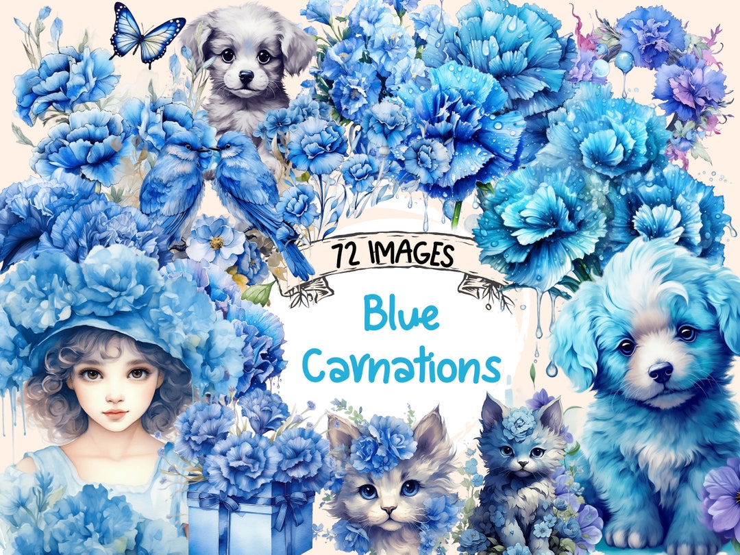 Blue Carnations Watercolor Clipart Bundle - 72 PNG Flower Images ...