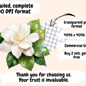 Gardenia Flowers Watercolor Clipart Bundle - 410 PNG Floral Wedding ...