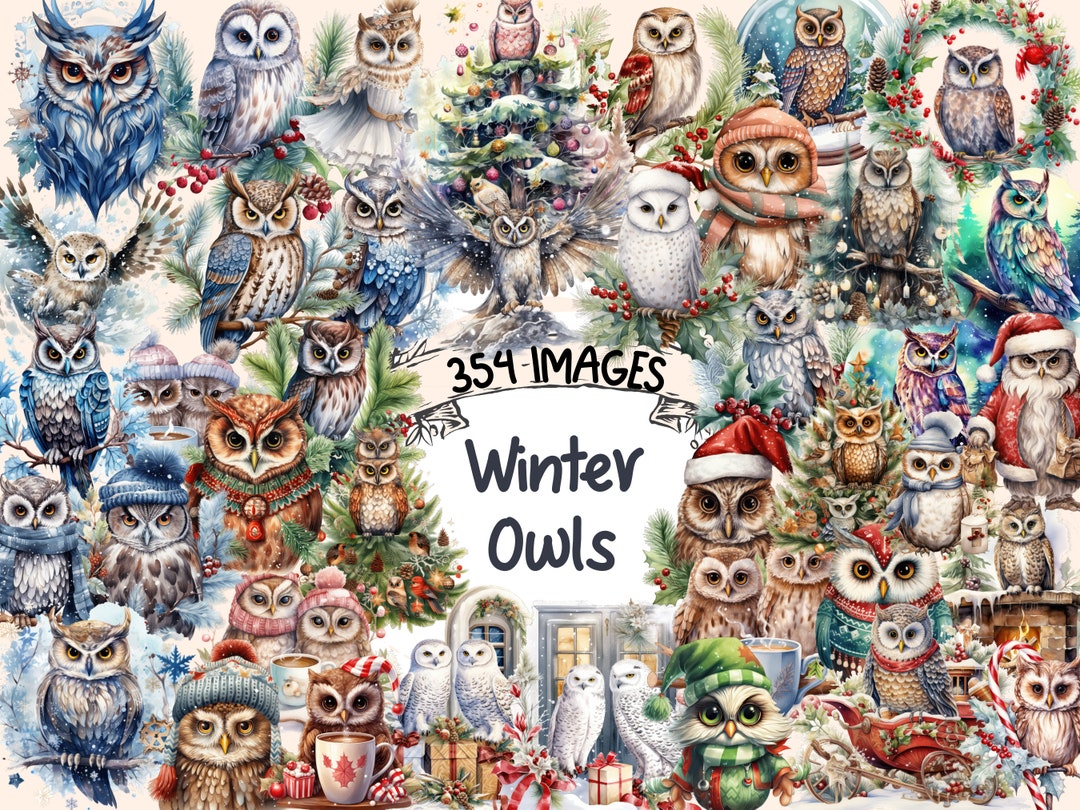 Winter Owls Watercolor Clipart Bundle -354 PNG Snowy Christmas Owl ...