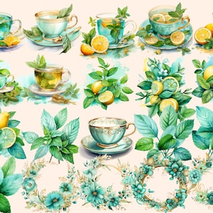 Mint Tea Watercolor Clipart Bundle - 169 PNG Cute Vintage Teacup Images ...