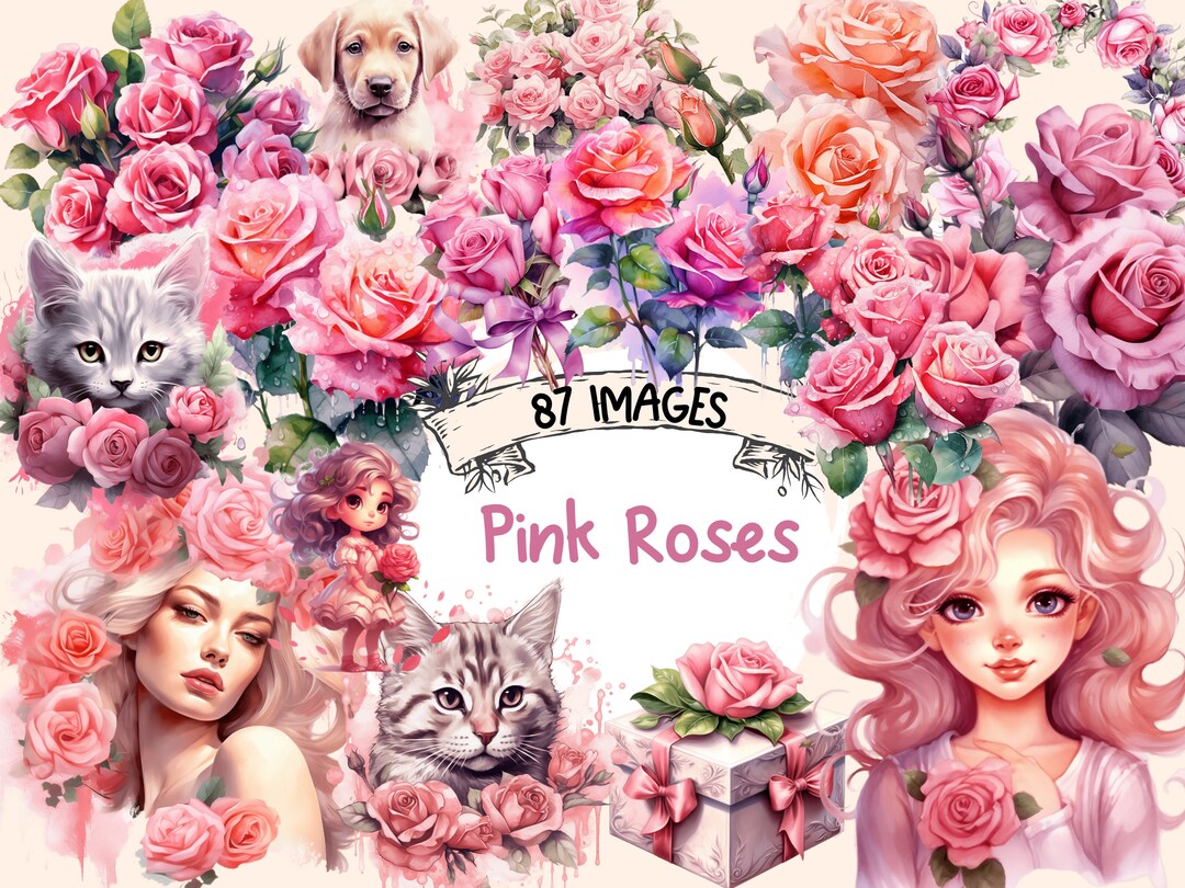 Pink Roses Watercolor Clipart Bundle - 87 PNG Images, Beautiful Floral ...